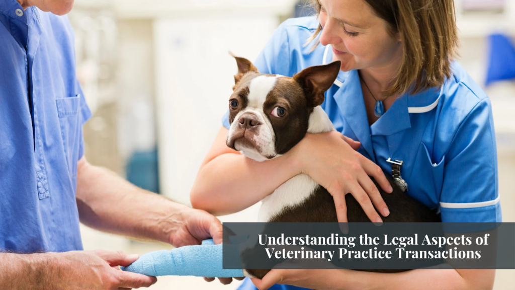 Understanding the Legal Aspects of Veterinary Practice Transactions